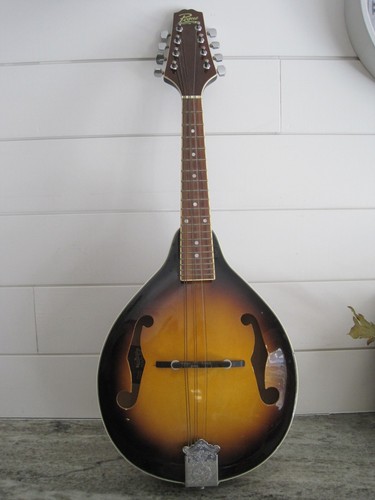 ROGUE Fine Instruments Starter Mandolin RM-100A ~ See photos ~ 2 Issues ...