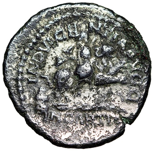 LION Roman Fouree Limes Denarius Coin w COA Dea Caelestis Riding ...