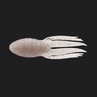 Jackall KING DRIFT CRAW 5.7inch Sunazari Bass lure From Stylish anglers ...