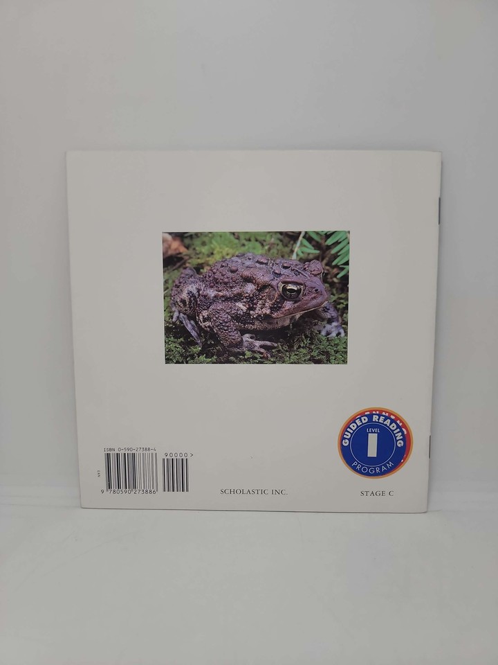 Look-Alike Animals by Robin Bernard | eBay