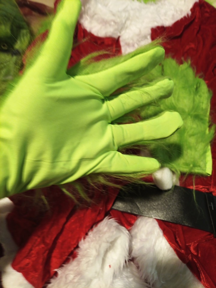 Adult Grinch Costume Mask And Outfit 6 Piece. MASK Might Scare The Kids ...