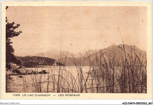 ACZP3-74-0236 - Le Lac D'Annecy - Schilf | eBay.de
