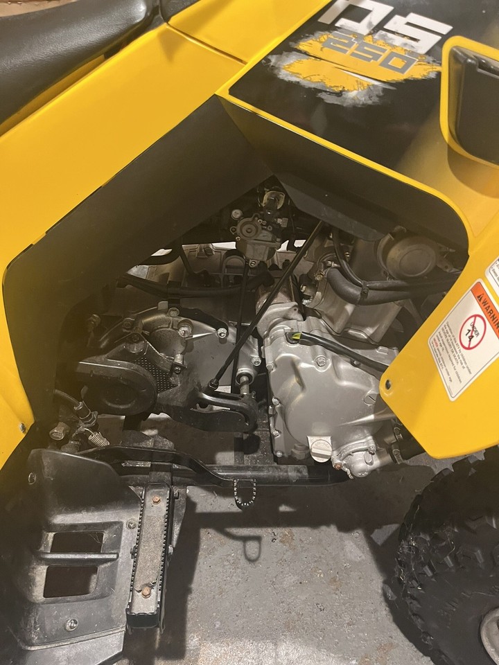 can am ds250 | eBay