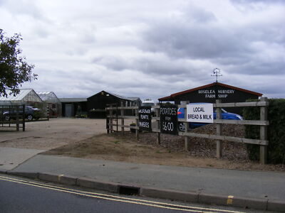 Photo 12x8 Roselea Nursery Farm Shop Kirton Kirton Road, Trimley St ...