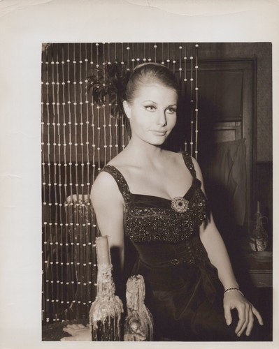 Donna Michelle (1960s) 🎬⭐ Hollywood beauty - Golden Age Vintage Photo K ...