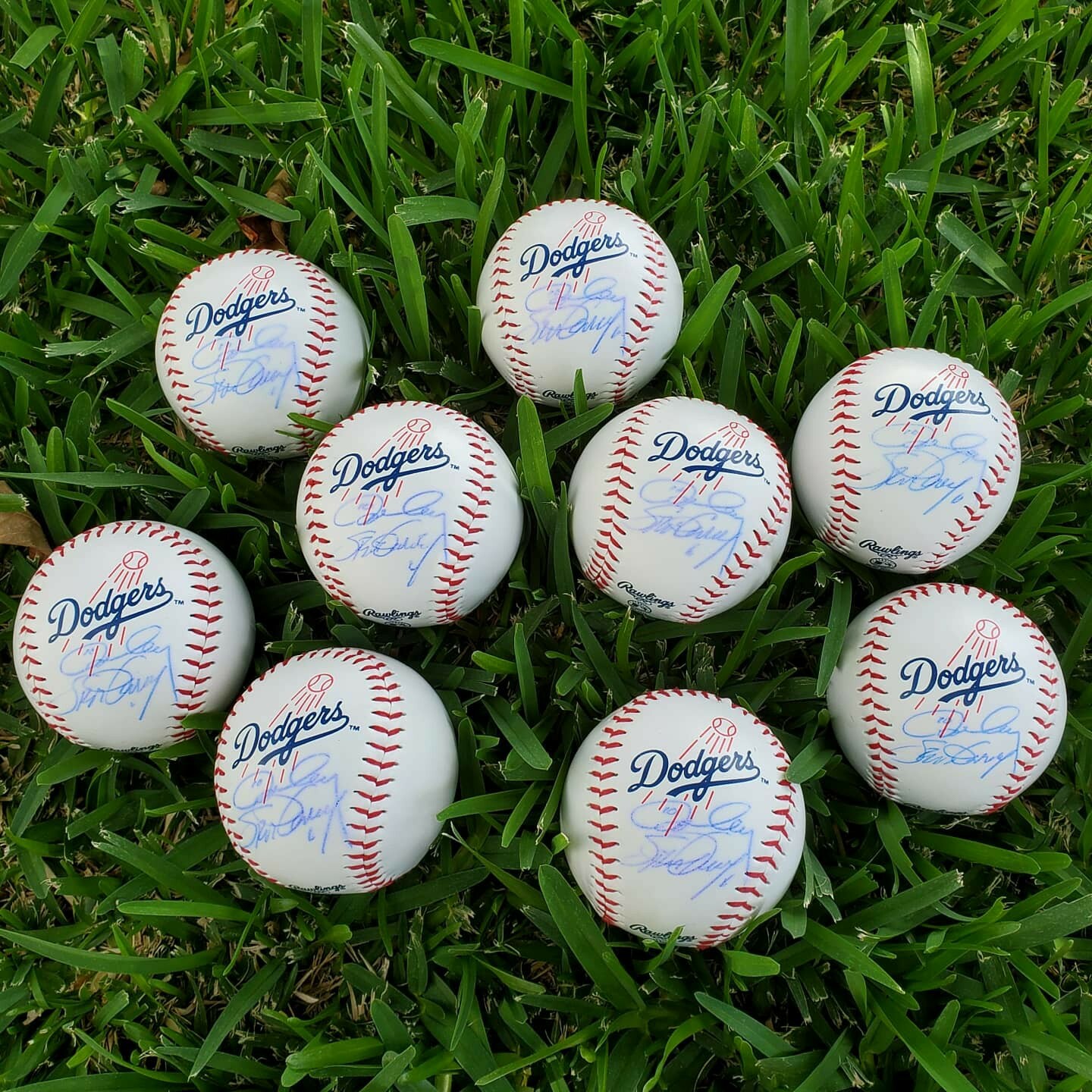 Steve Garvey Ron Cey Autographed Dual Signed Dodgers Logo Baseballs 9 ...