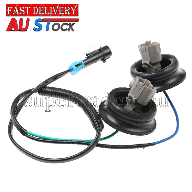 For Holden Commodore LS1 GEN3 VT VX VY VZ V8 6.0L Knock Sensors Wiring ...