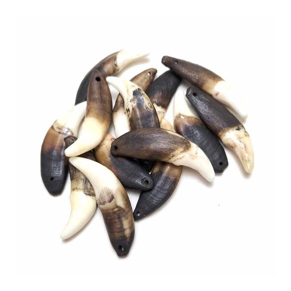 Natural Fang Pendant Wholesale Teeth 4/8PC Retro Black Teeth Tribal ...