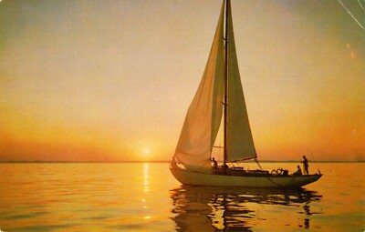 Sunrise- Greetings from Florida-Sailing Boat- VTG Posted Postcard M14 ...