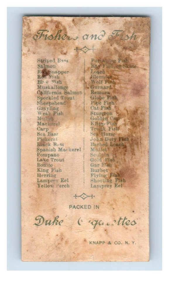 1880s Duke's Cigarettes Tobacco Card Fishers & Fish Wolf Fish F136 | eBay