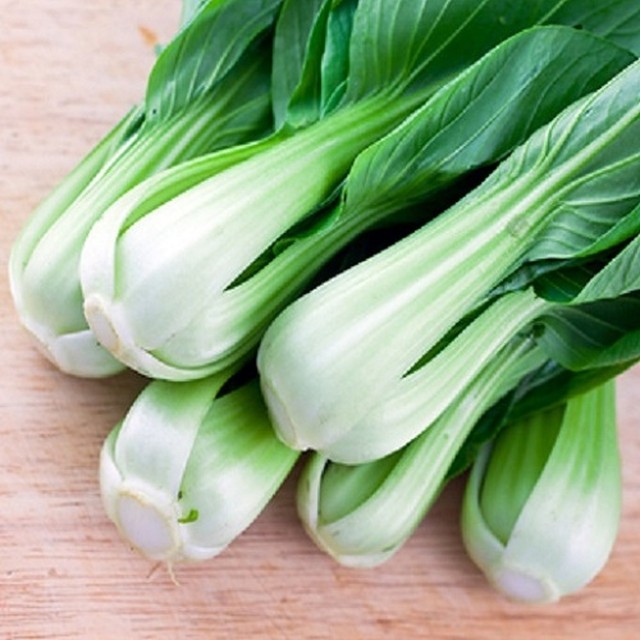Vegetable Pak Choi Canton Dwarf White 700 Seeds Oriental for sale ...