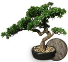 Artificial Bonsai Tree 16" Tall with Realistic Wood and Ceramic Pot ...