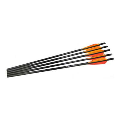 HeadHunter Outdoors Carbon Crossbow 20-Inch Arrows with Field Points (5 ...