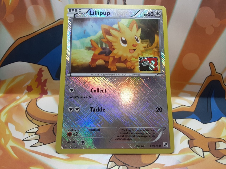 🔥2011 Pokémon League Black & White Holo Lillipup #81/114 (Stamped) | eBay