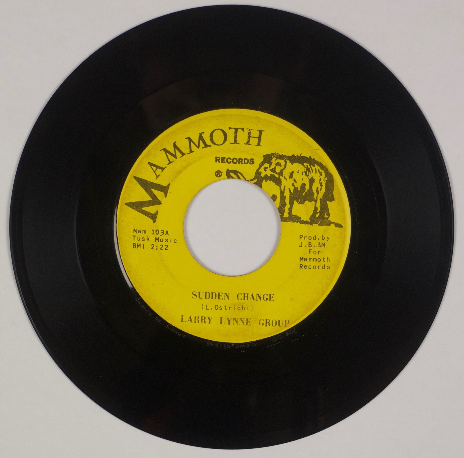 LARRY LYNNE GROUP: Sudden Change MAMMOTH Wisconsin Garage Psych 45 HEAR ...