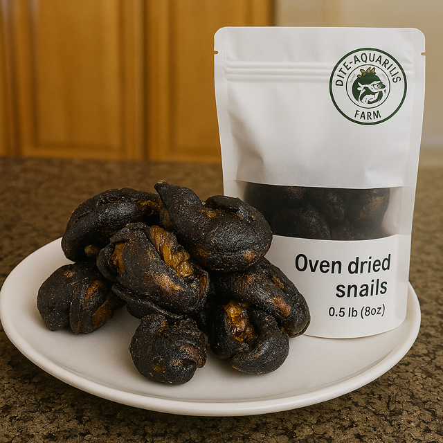 Premium Oven Dried Snails. 8oz (0.5LB). 100% Natural & Preservative ...