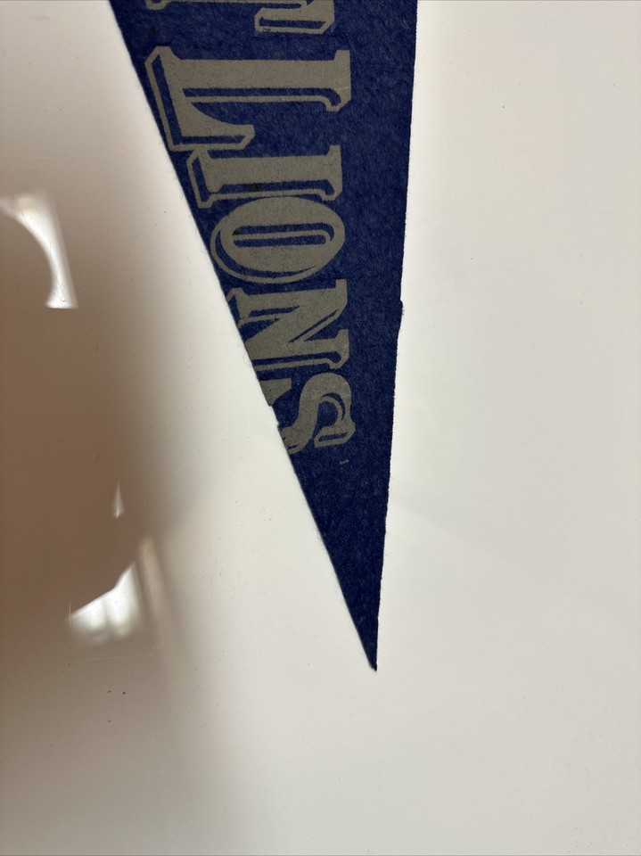 1940’s Vintage Detroit Lions Michigan Nfl Football Pennant 11x26.5 Rare ...
