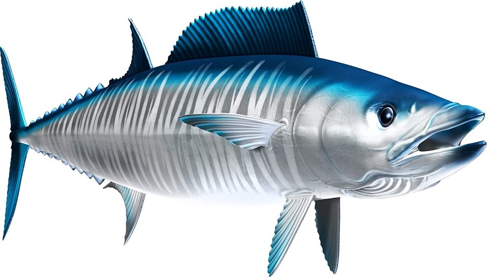 Wahoo Beautiful Vinyl Sticker Fish Decals for Boat Car Vehicle Truck ...