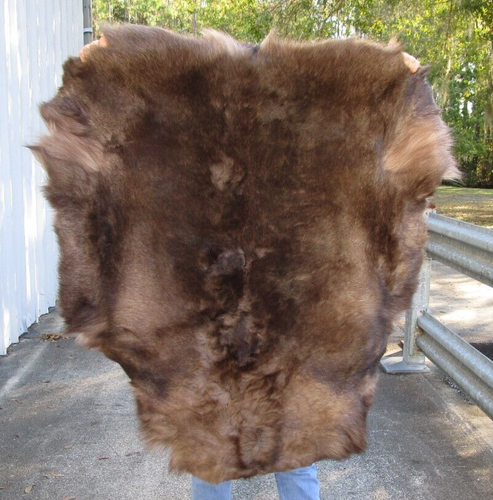 Grade A Arctic Reindeer throw skin (No Legs) fur pelt taxidermy #48460 ...