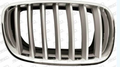 BUMPERS GRILLE RIGHT CHROME-TITANI 51137185224 | eBay UK
