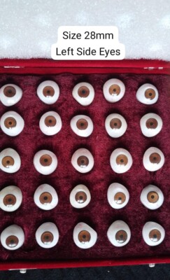 Artificial Eyes Having a unique shade of Medium Brown color(Box of 25 ...