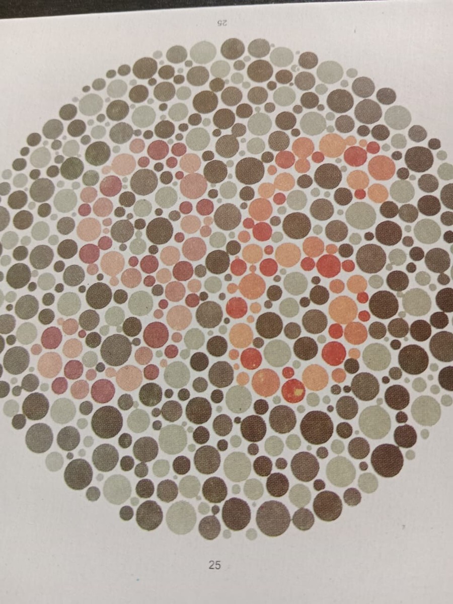 Ishihara Color Blindness Test Plate 150mm - Infoupdate.org