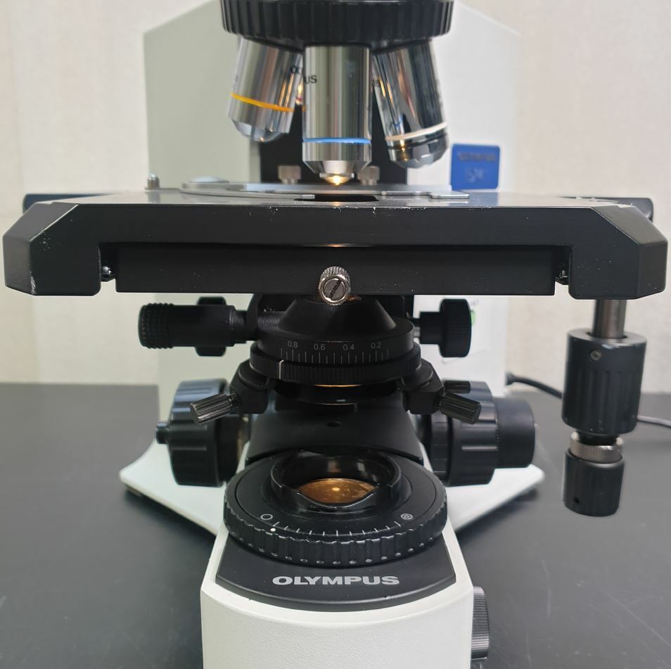 Olympus+BX41+Biological+Microscope for sale online | eBay