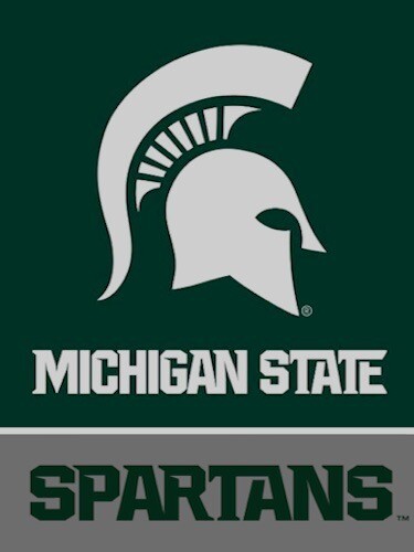 Msu Logo