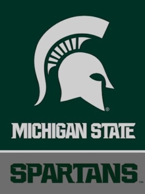 Michigan State University (MSU) Spartans 28 x 40 Banner Flag - ipg ...