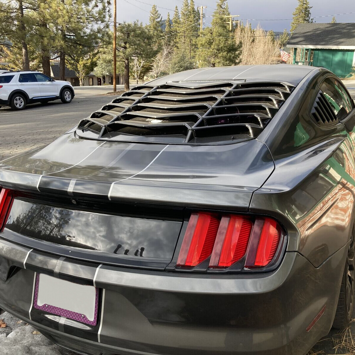 Fits 2015-2023 Ford Mustang Rear Window Louver Cover Sun Shade Carbon ...