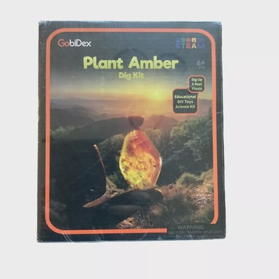 Gobi Dex Plant Amber Digging Kits | eBay