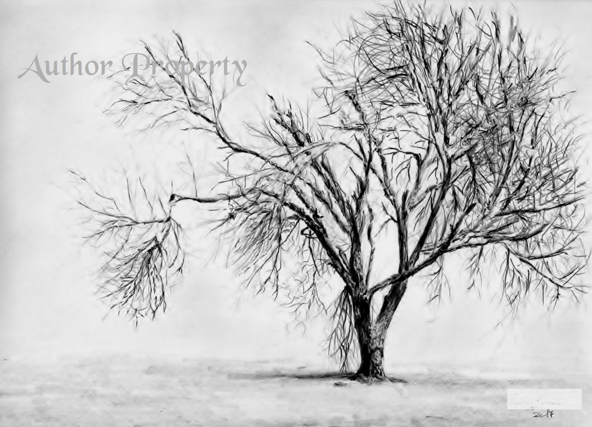 Pencil Drawings Of Loneliness