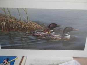 James Meger Print First Outing Loons Lm/Ed | eBay