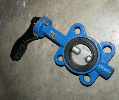 KSB VFS161 Ecoline Gate Valve DN65 PN16 GGG40 Body 316SS CF8M Disc EPDM ...