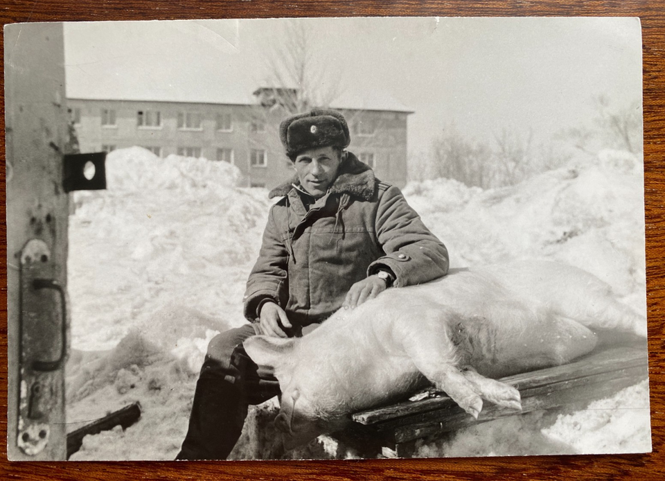 Slaughtering a Pig. Man Near Dead Boar. Rare Scary Old Vintage Photo ...