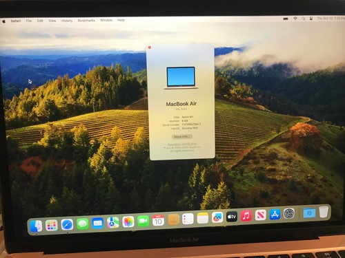 Apple MacBook Air 13.3" M1 Chip 8GB 256GB Gold 2020 USED #132 | eBay