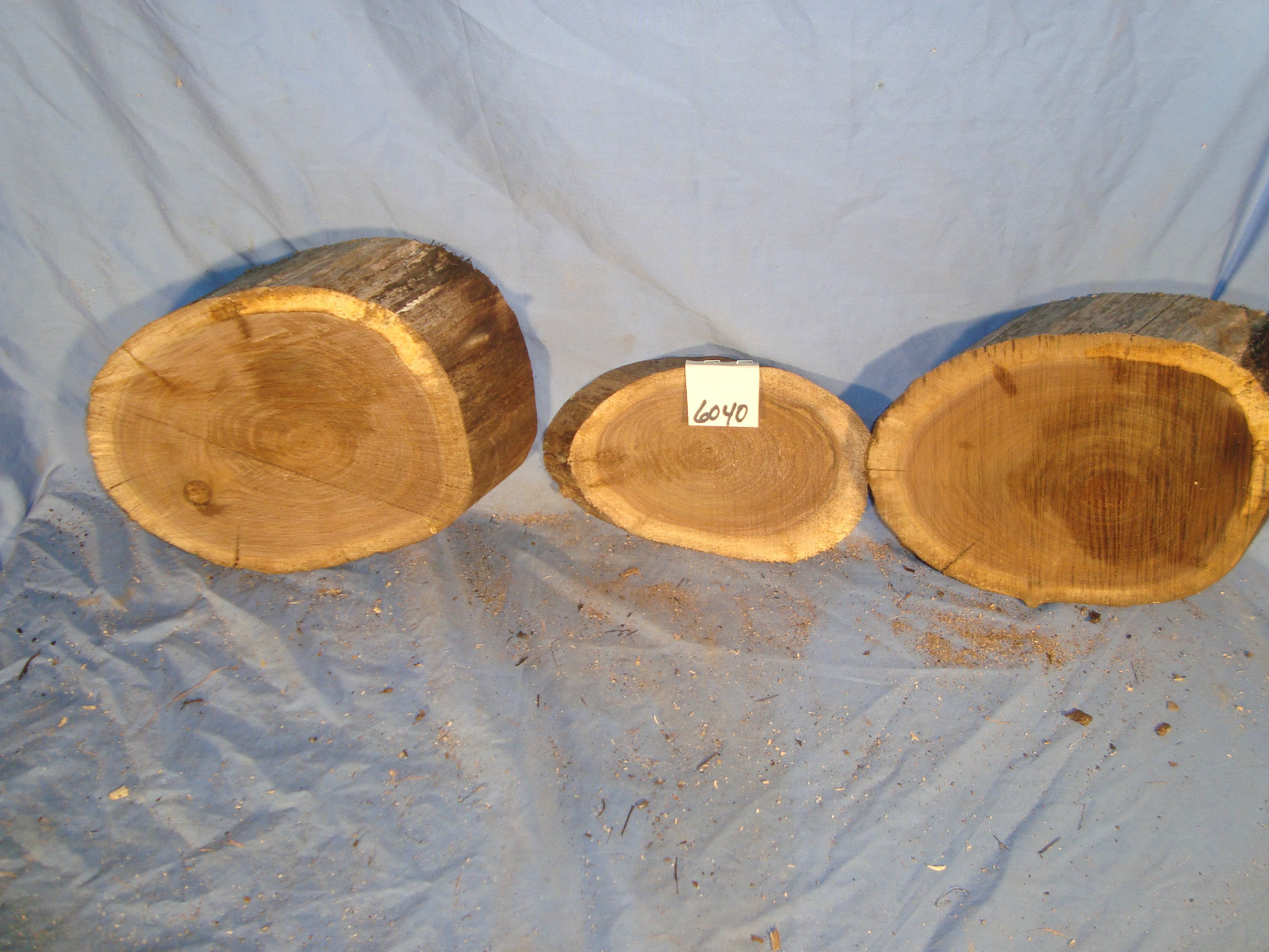 # 6040 3, spalted black walnut log slices rustic shelf slab band saw ...