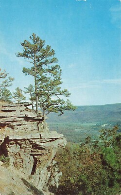 Postcard Highway No 7 Harrison Arkansas | eBay