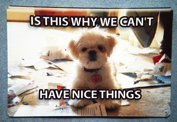 Hello This Is Dog Meme