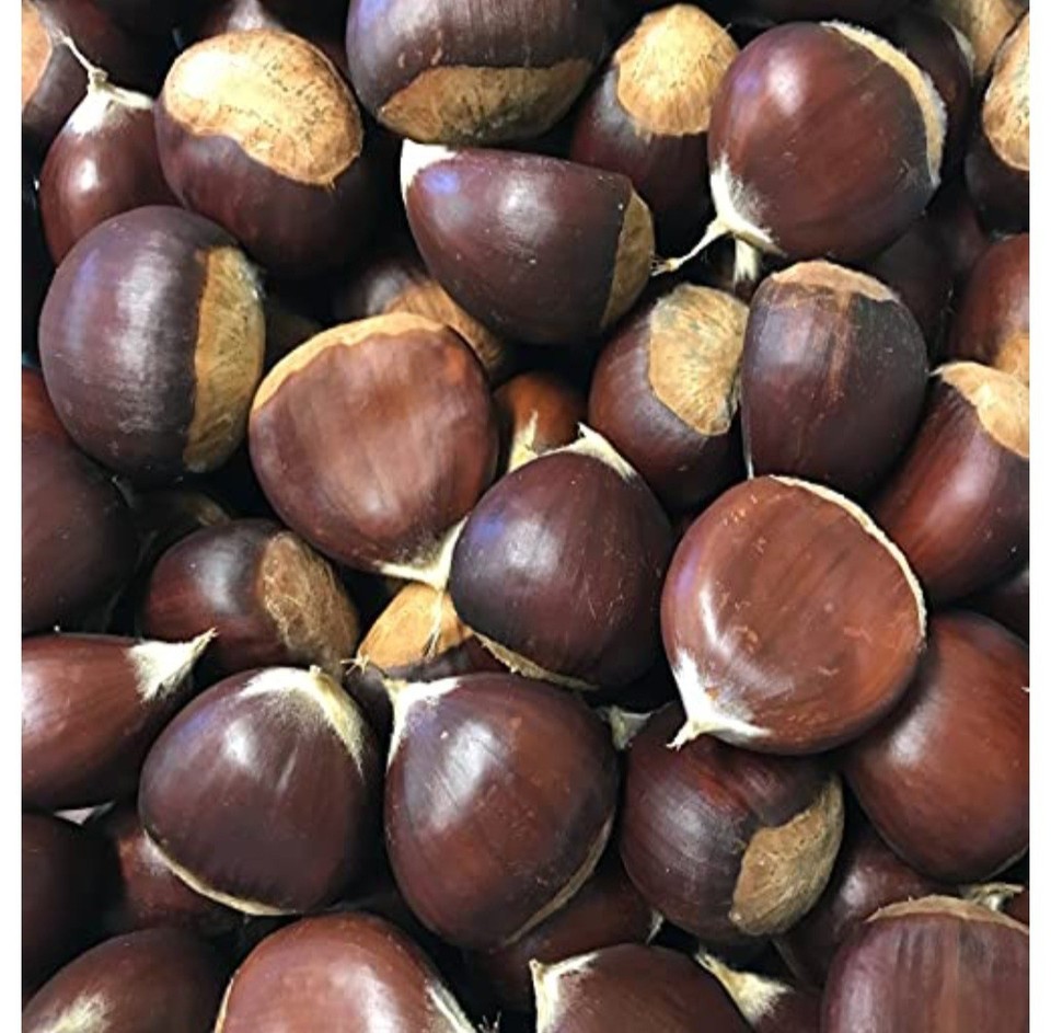 5 Lbs Fresh Dunstan Chestnuts | eBay