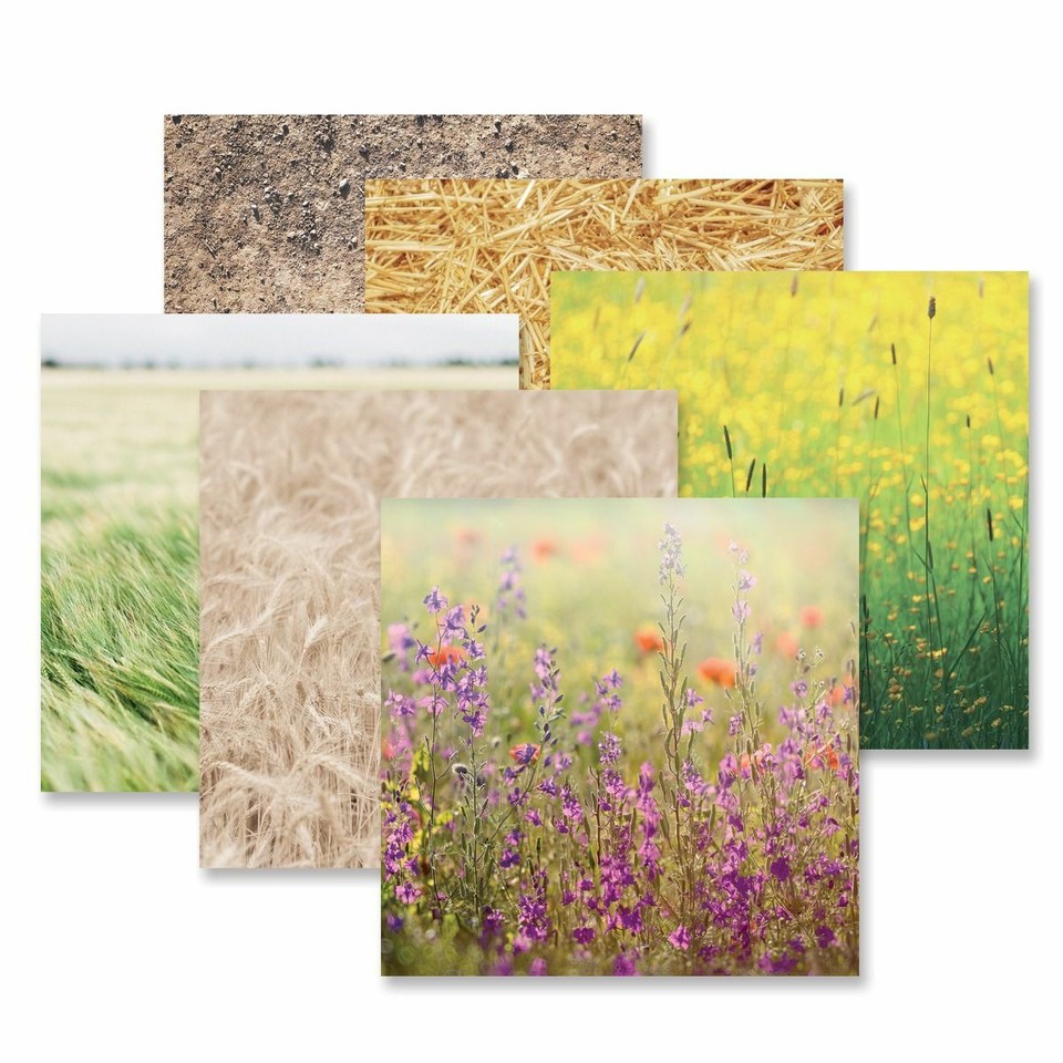 Rare & Current Creative Memories Paper Pack 12x12 Double Sided Printed ...