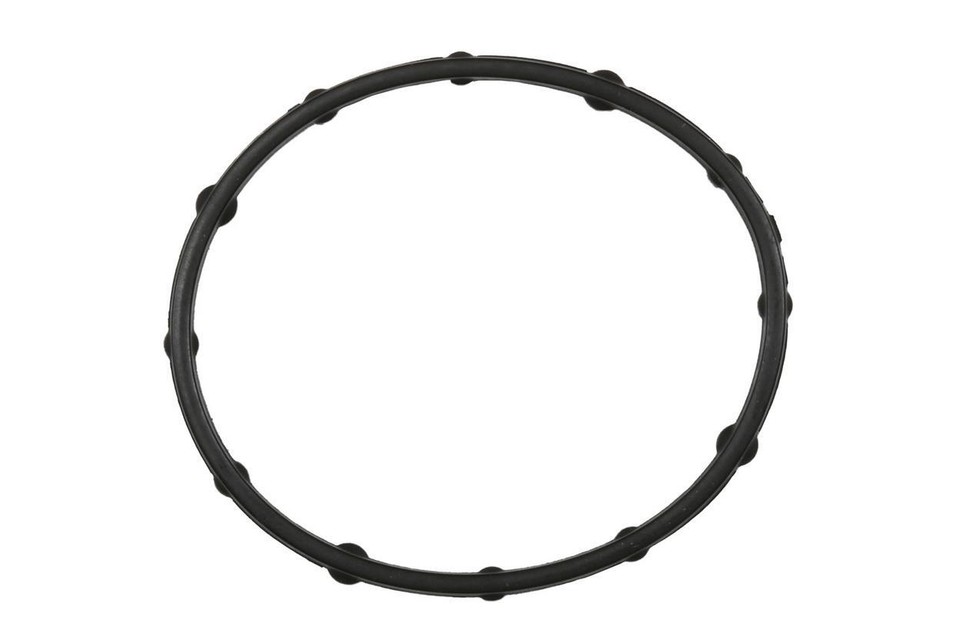 GM Genuine Parts 12646951 Engine Water Pump Seal | eBay