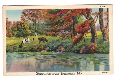 Greetings from Hermann Missouri Cattle Cow Pond Vintage View Postcard ...