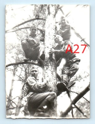 PHOTO Handsome Guy Soviet Vintage Soldiers Snapshot VTG climb hide tree ...