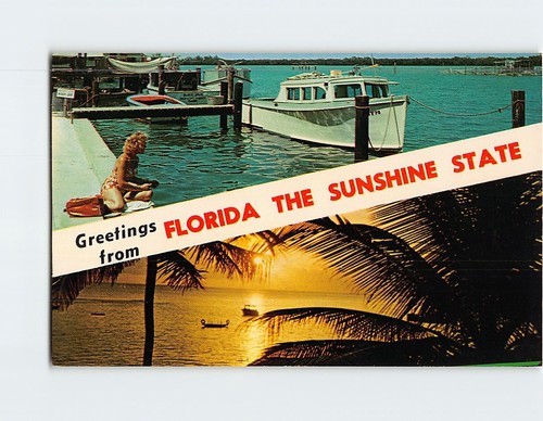 Postcard Greetings from Florida The Sunshine State Florida USA | eBay