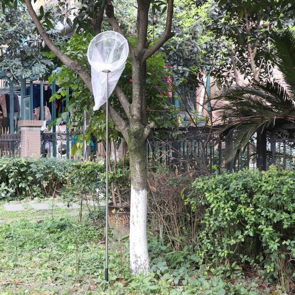 Insect and Butterfly Net with 12" Ring, 24" Net Depth, Handle Extends ...