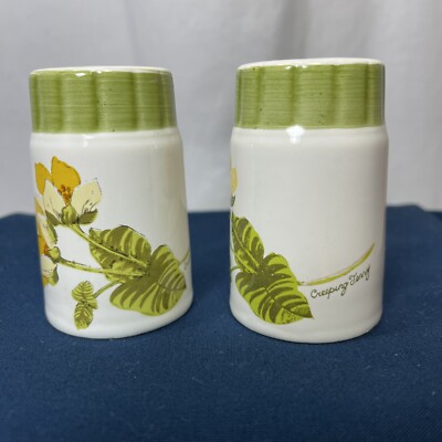 Royal Worcester Spode Palissy Salt Pepper Set England Vintage Creeping ...