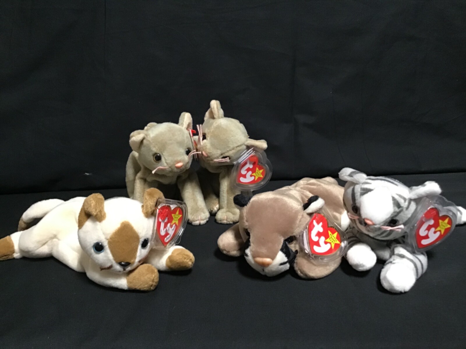 ty beanie babies lot new with tags snip 96, prance 97, canyon 98, (2 ...
