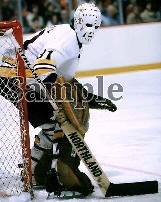 1978 Boston Bruins Goalie Ron Graham Game Action Color 8 x 10 Photo ...