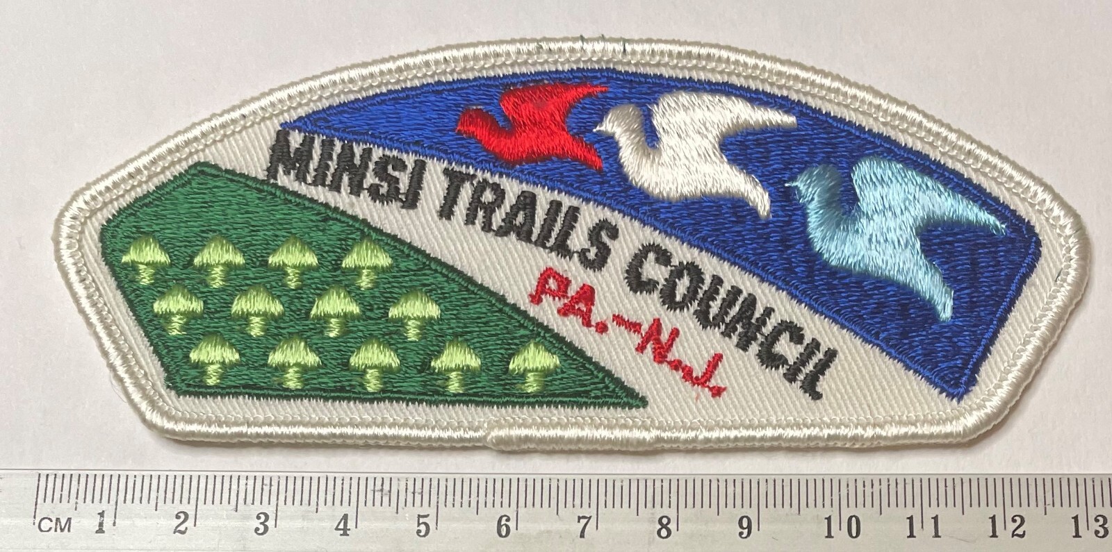 Minsi Trails Council Pennsylvania T1 First Issue CSP Boy Scouts of America BSA | eBay